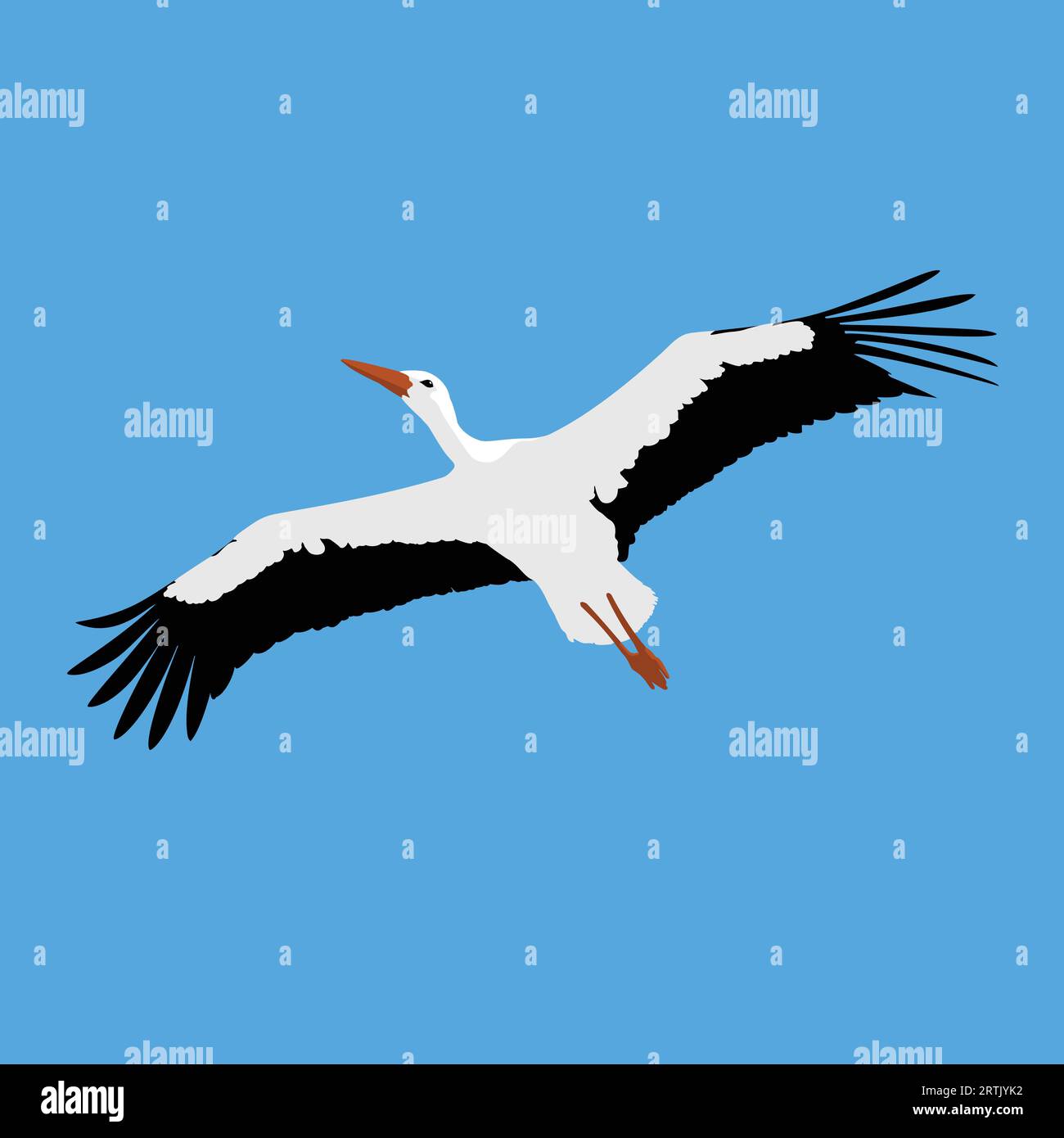 White Stork In Flight Stock Vector Image & Art - Alamy