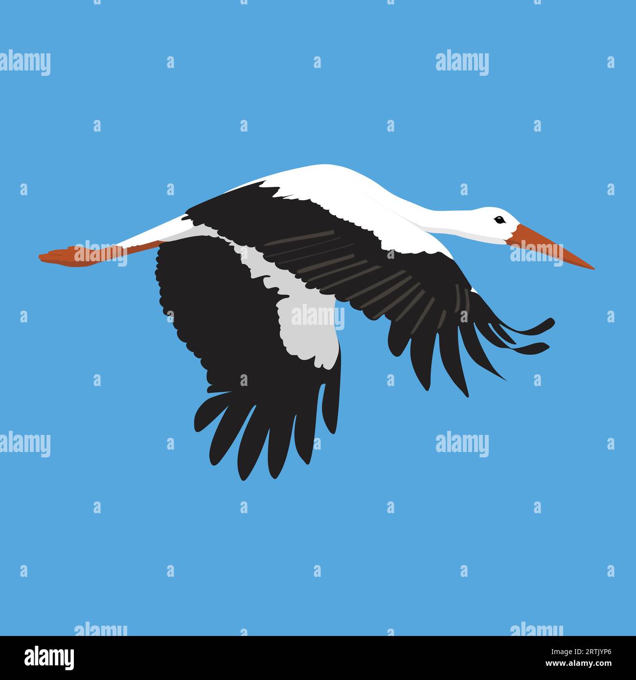 White Stork In Flight Stock Vector Image & Art - Alamy
