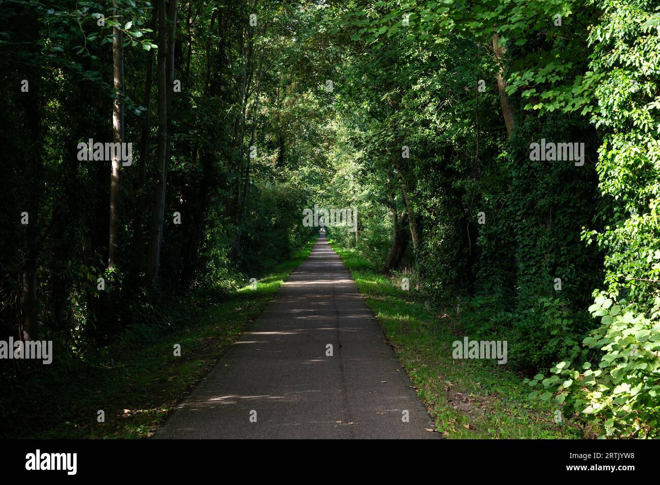 Bels lijntje hi-res stock photography and images - Alamy