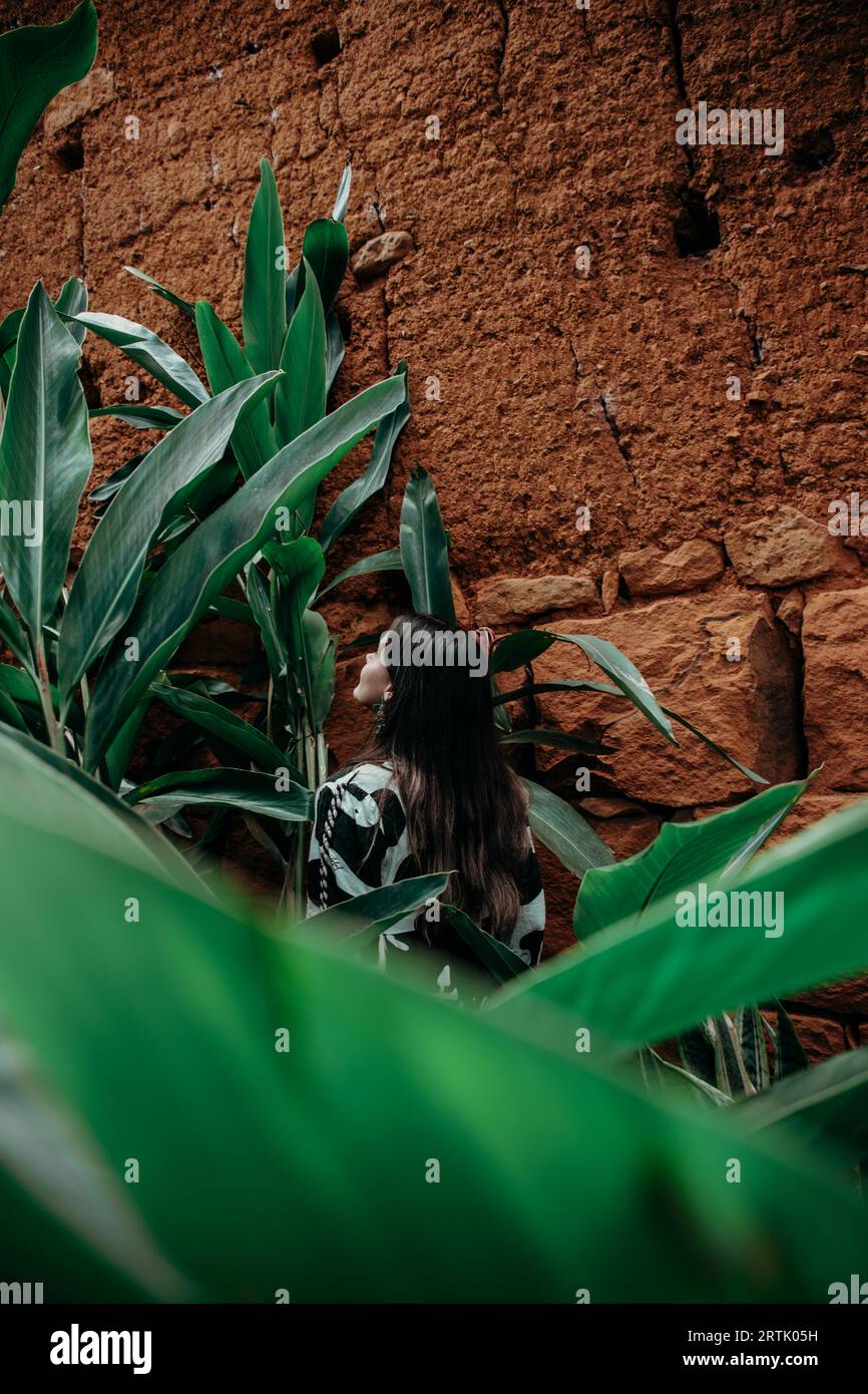 Rodeada de arboles hi-res stock photography and images - Alamy