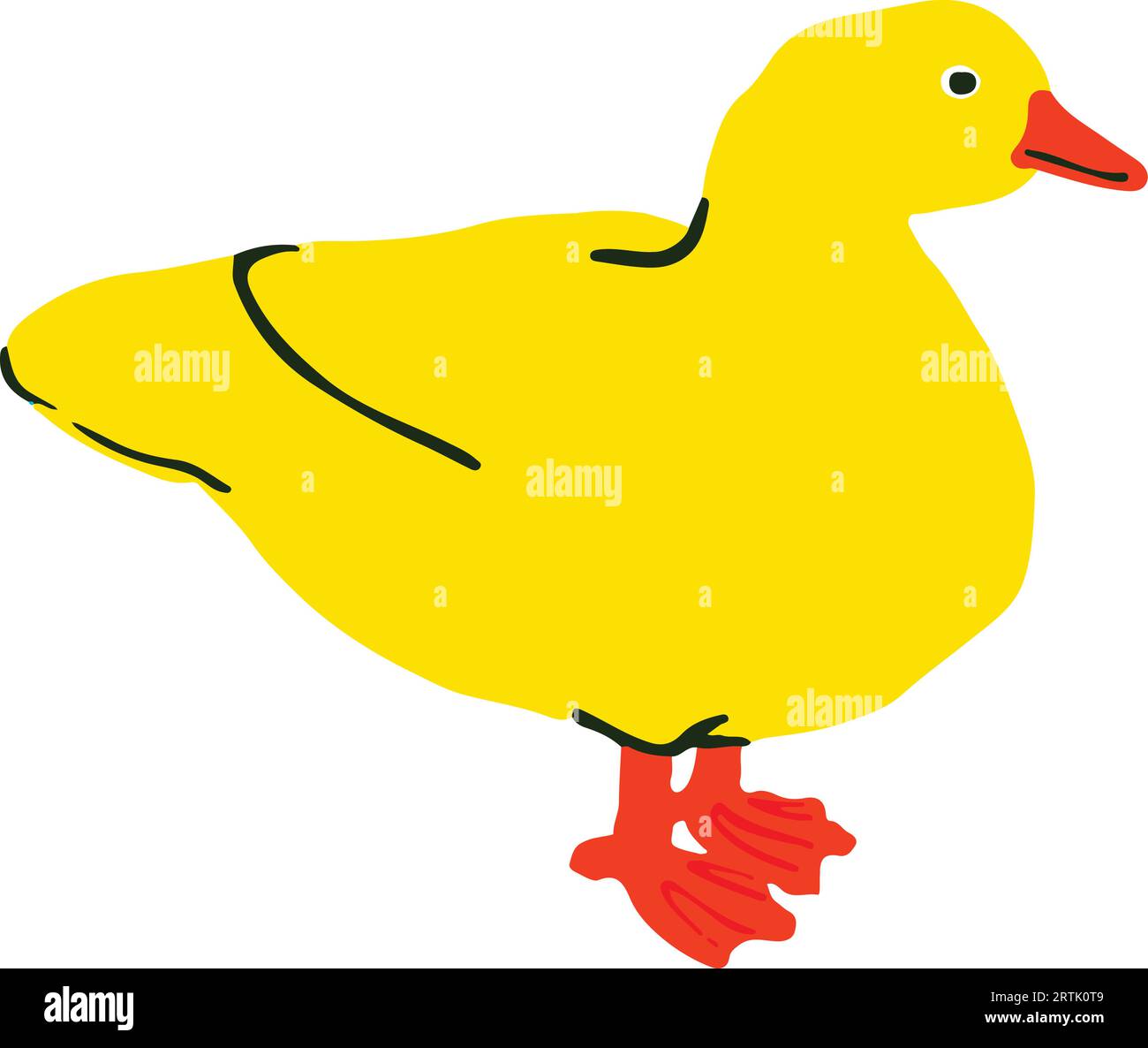 File bird Cut Out Stock Images & Pictures - Alamy
