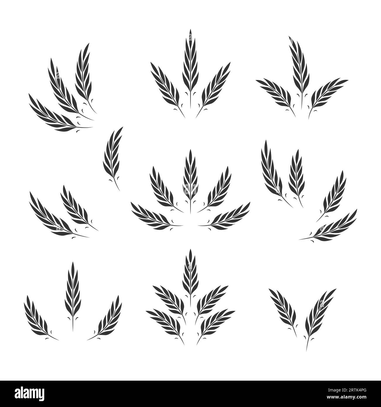 Flat Vector Agriculture Wheat Icon Set Isolated, Organic Wheat, Rice ...