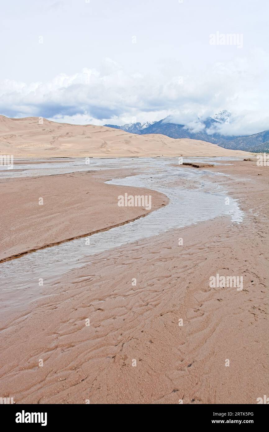 Meandering Medano creek flow at edge of tallest sand dunes in North America at Great Sand Dunes ...