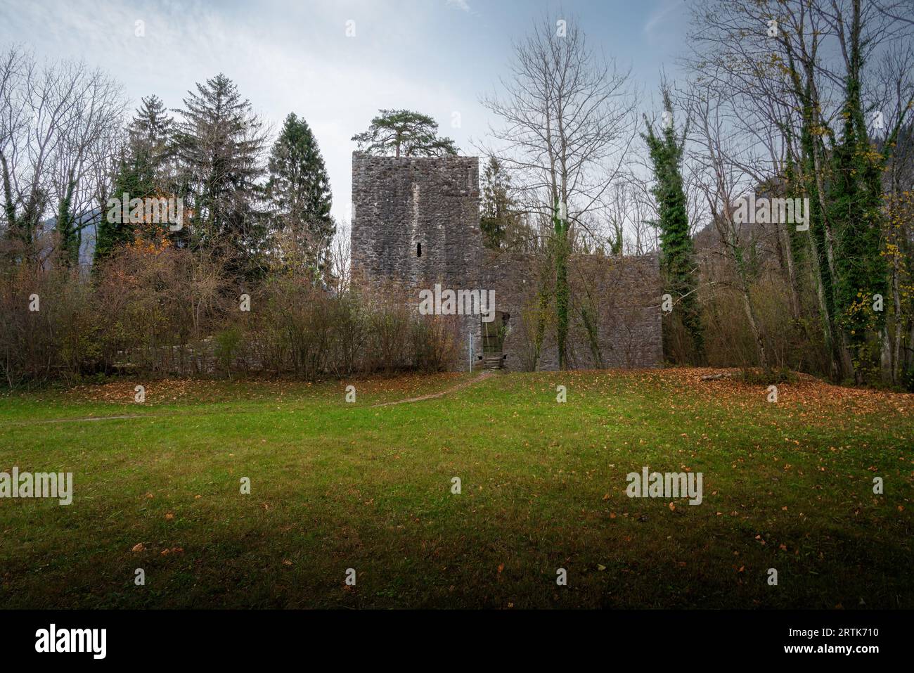 Weissenau castle hi-res stock photography and images - Alamy