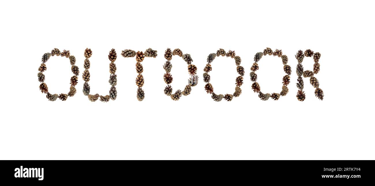 Outdoor spelled using pine cones, unusual shape, texture, pattern draws ...