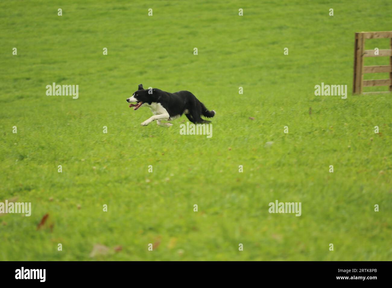 Maria winberg hi-res stock photography and images - Alamy