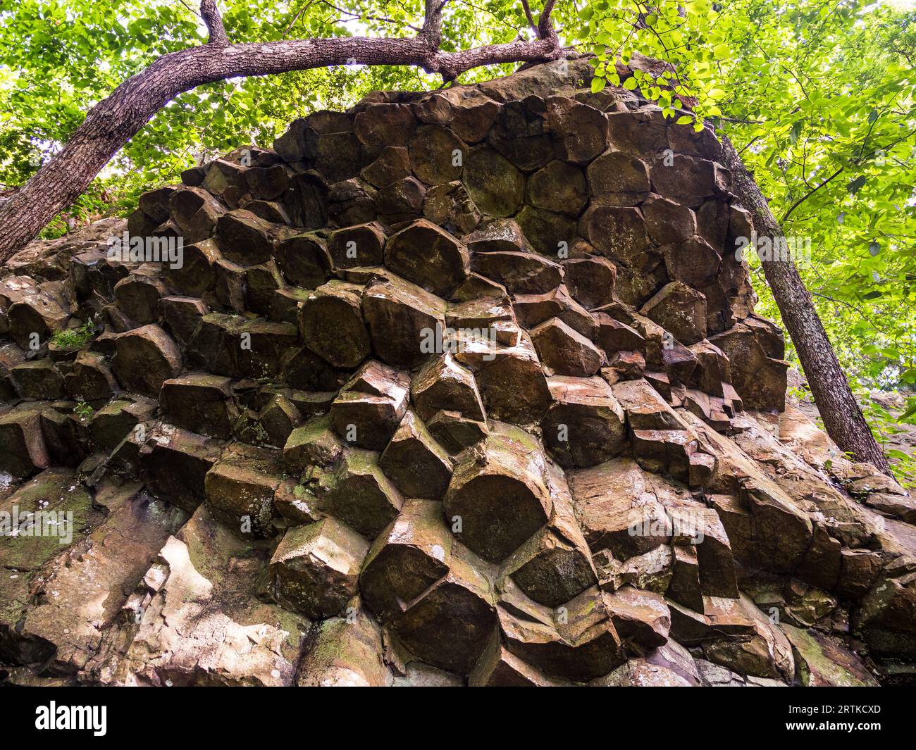 Geological rock formations with columnar jointing near Compton Peak ...