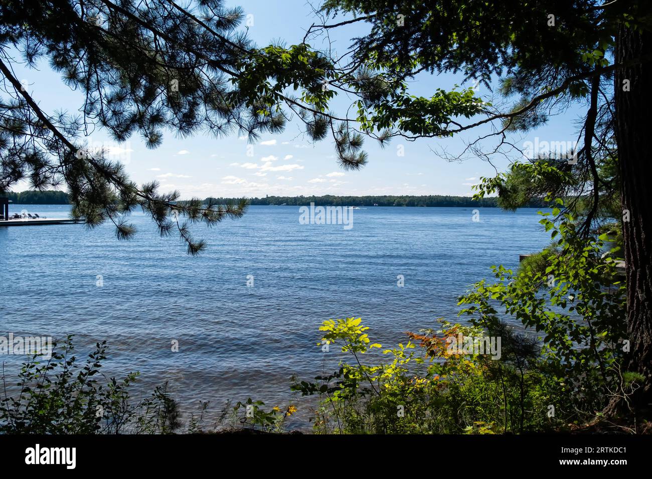 Lake Muskoka framed through trees and shrubs Stock Photo - Alamy