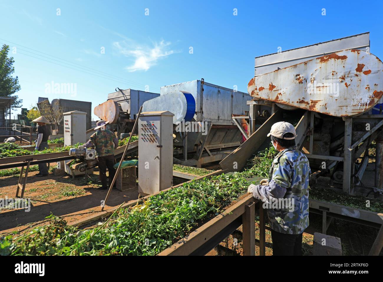 Thresh farmers hi-res stock photography and images - Alamy