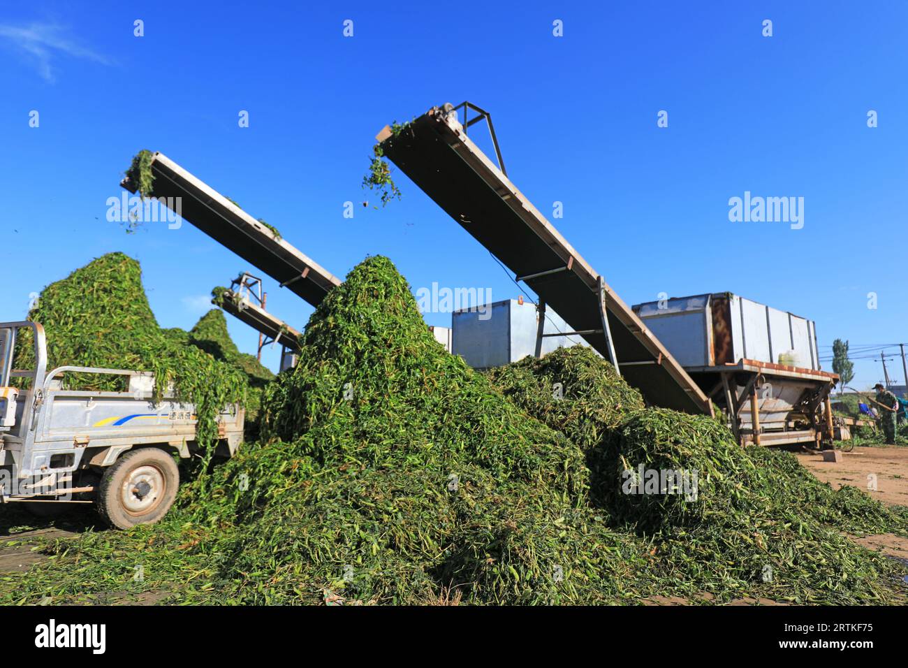 Conveyor plants hi-res stock photography and images - Alamy