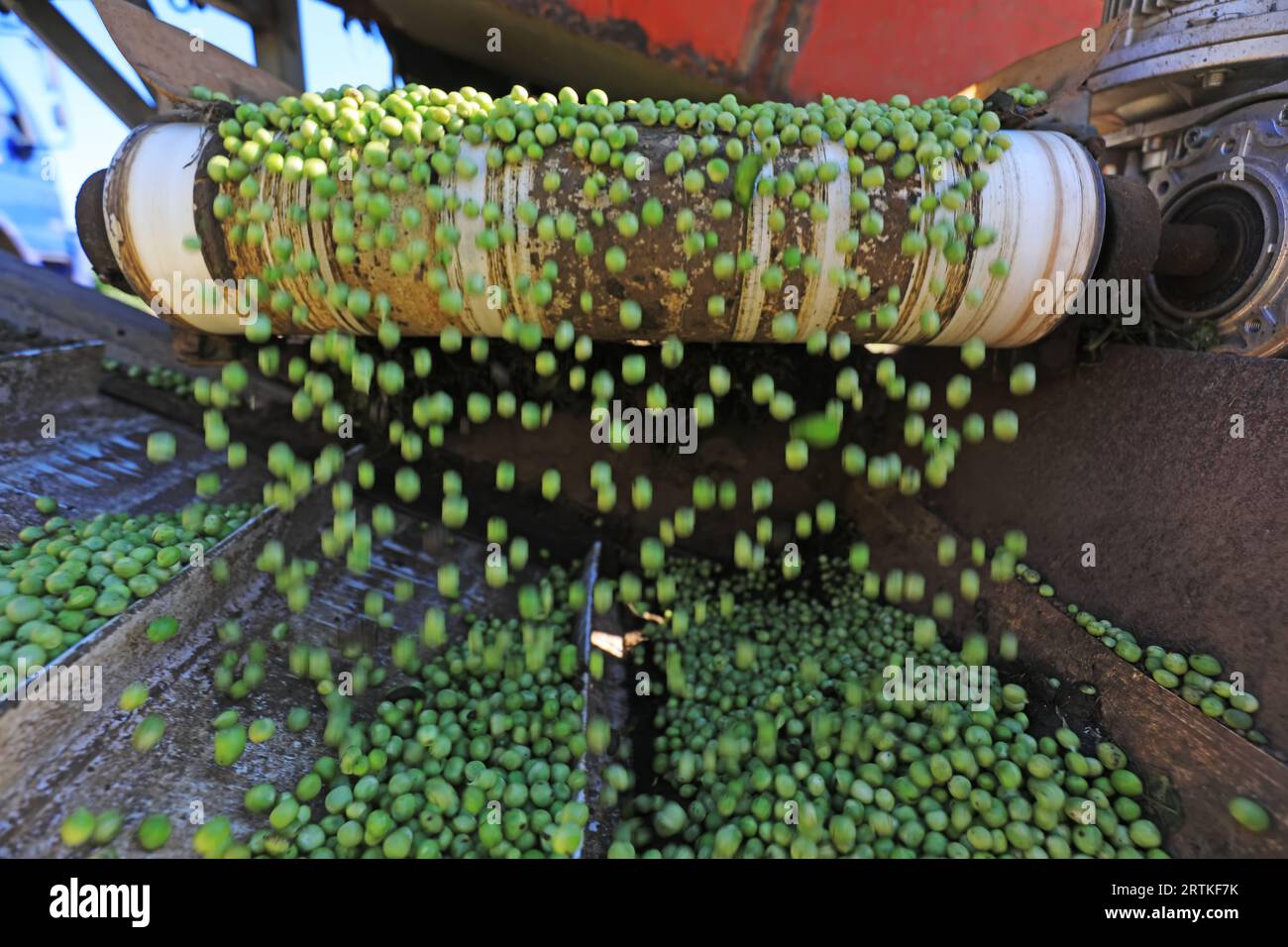 Threshing operation hi-res stock photography and images - Alamy
