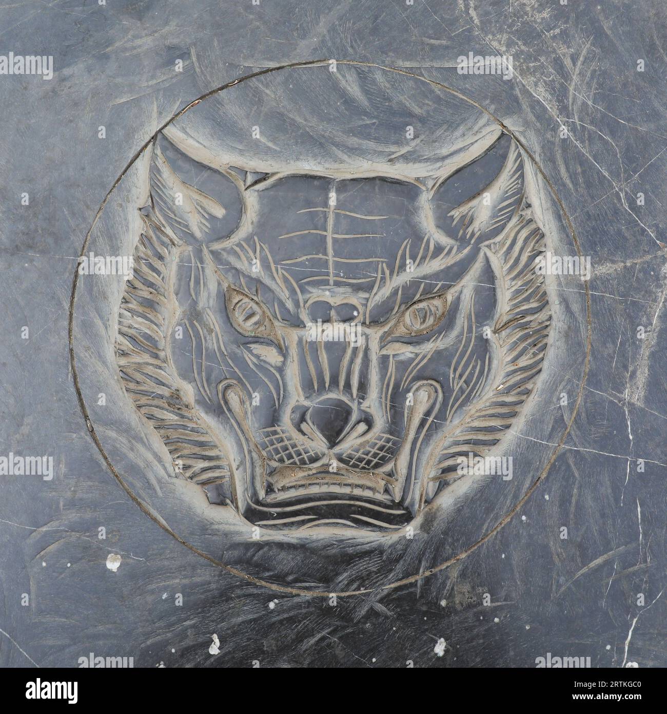 Wolf head sculpture on the ground, North China Stock Photo - Alamy