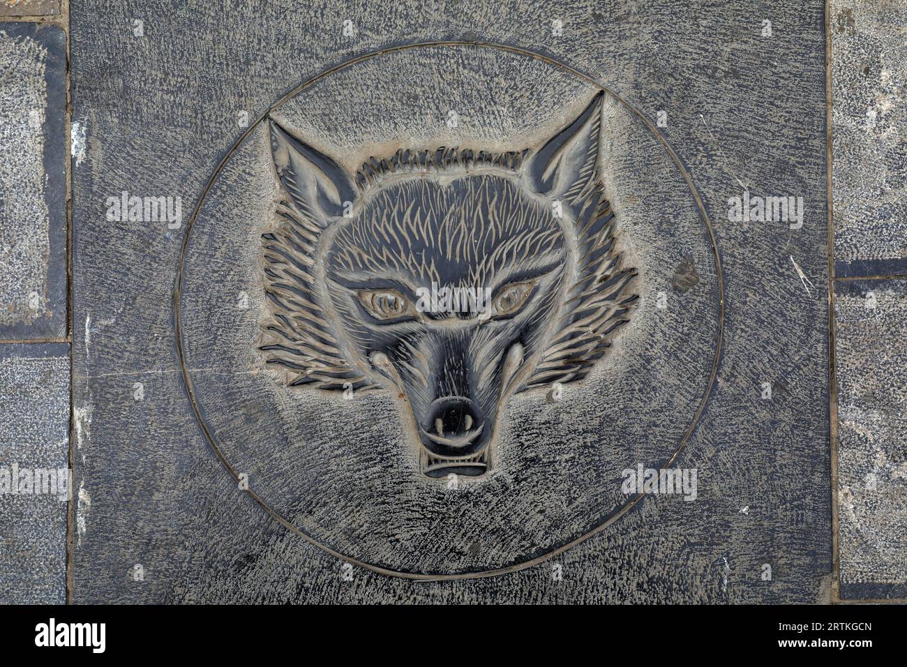 Wolf head sculpture on the ground, North China Stock Photo - Alamy