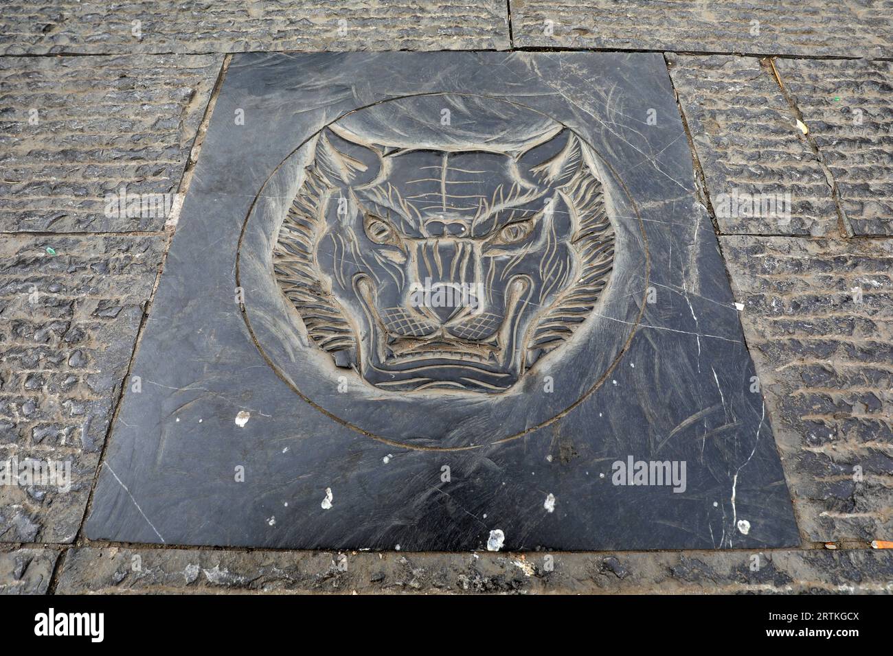Wolf head sculpture on the ground, North China Stock Photo - Alamy