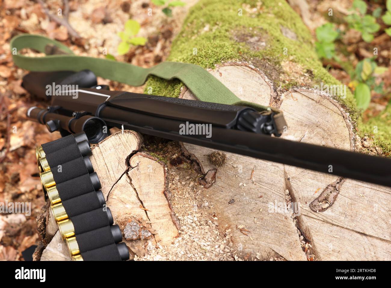 Stump gun hi-res stock photography and images - Alamy