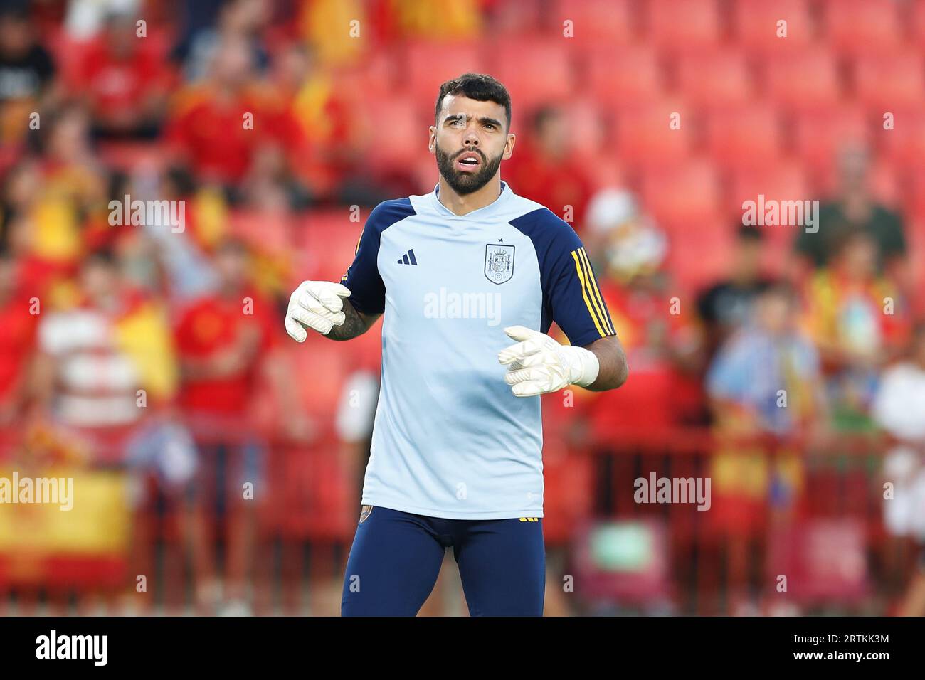 David raya spain cyprus hi-res stock photography and images - Alamy