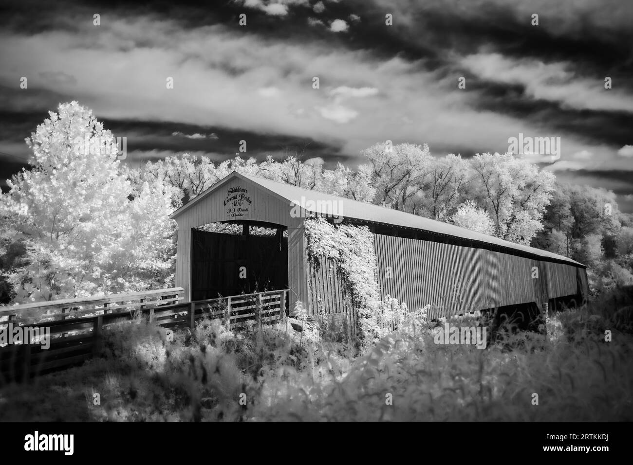 Contrast vignette Black and White Stock Photos & Images - Alamy