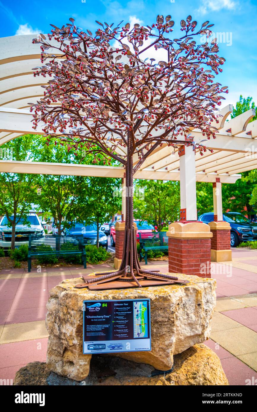 Stillwater, MN, USA - June 5, 2022: The Chokecherry Tree Stock Photo ...