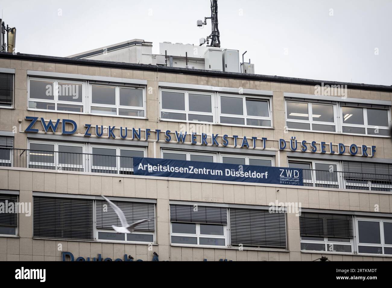 Zwd logo hi-res stock photography and images - Alamy