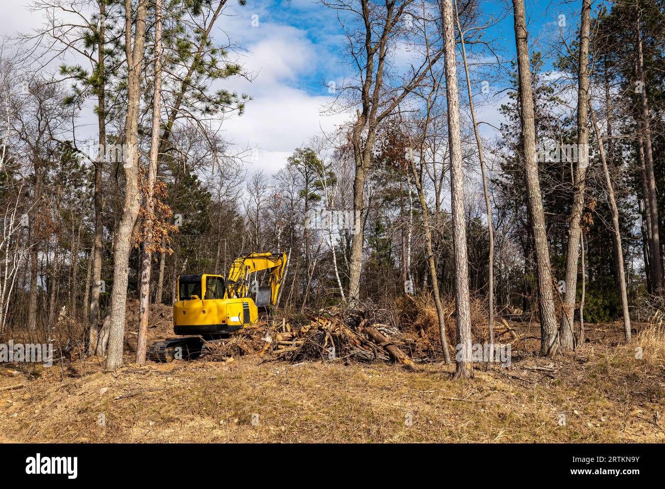 Bulldozer clearing trees hi-res stock photography and images - Alamy