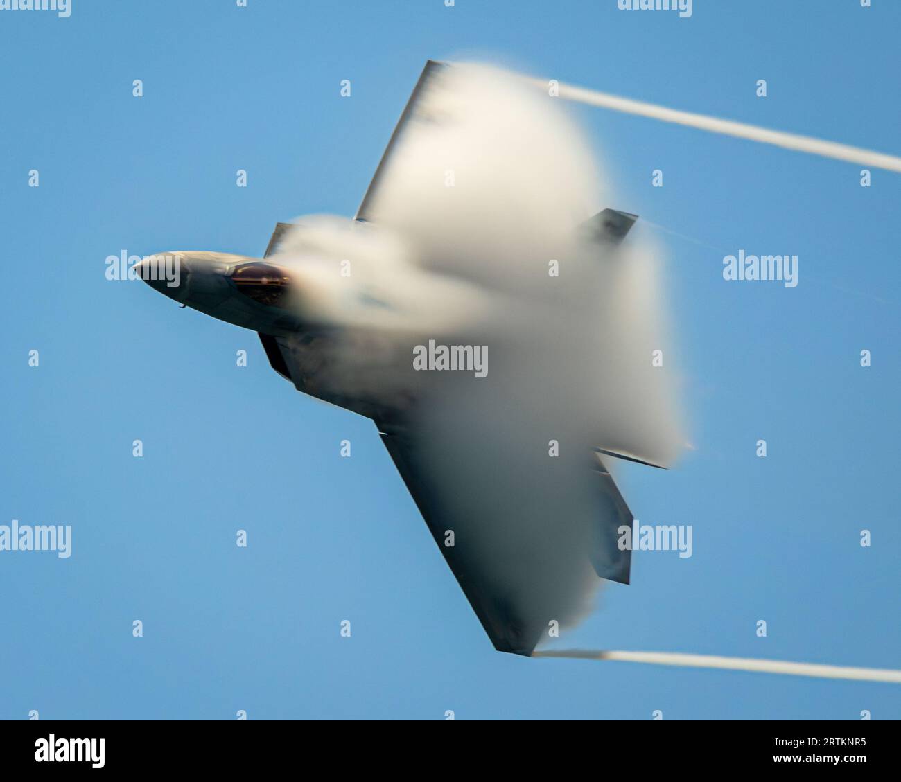 The amazing Raptor at the beach Stock Photo - Alamy