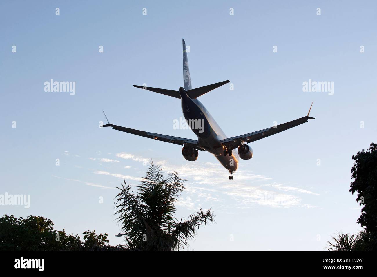 Plane with landing gear down approaching LAX airport in Los Angeles ...