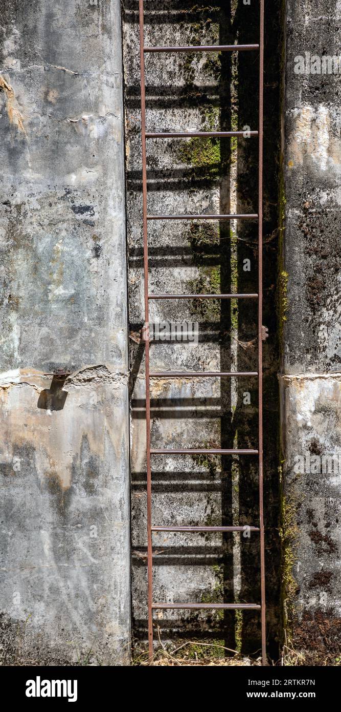 WA23607-00...WASHINGTON - Ladder up the side of bunker at Fort Worden ...