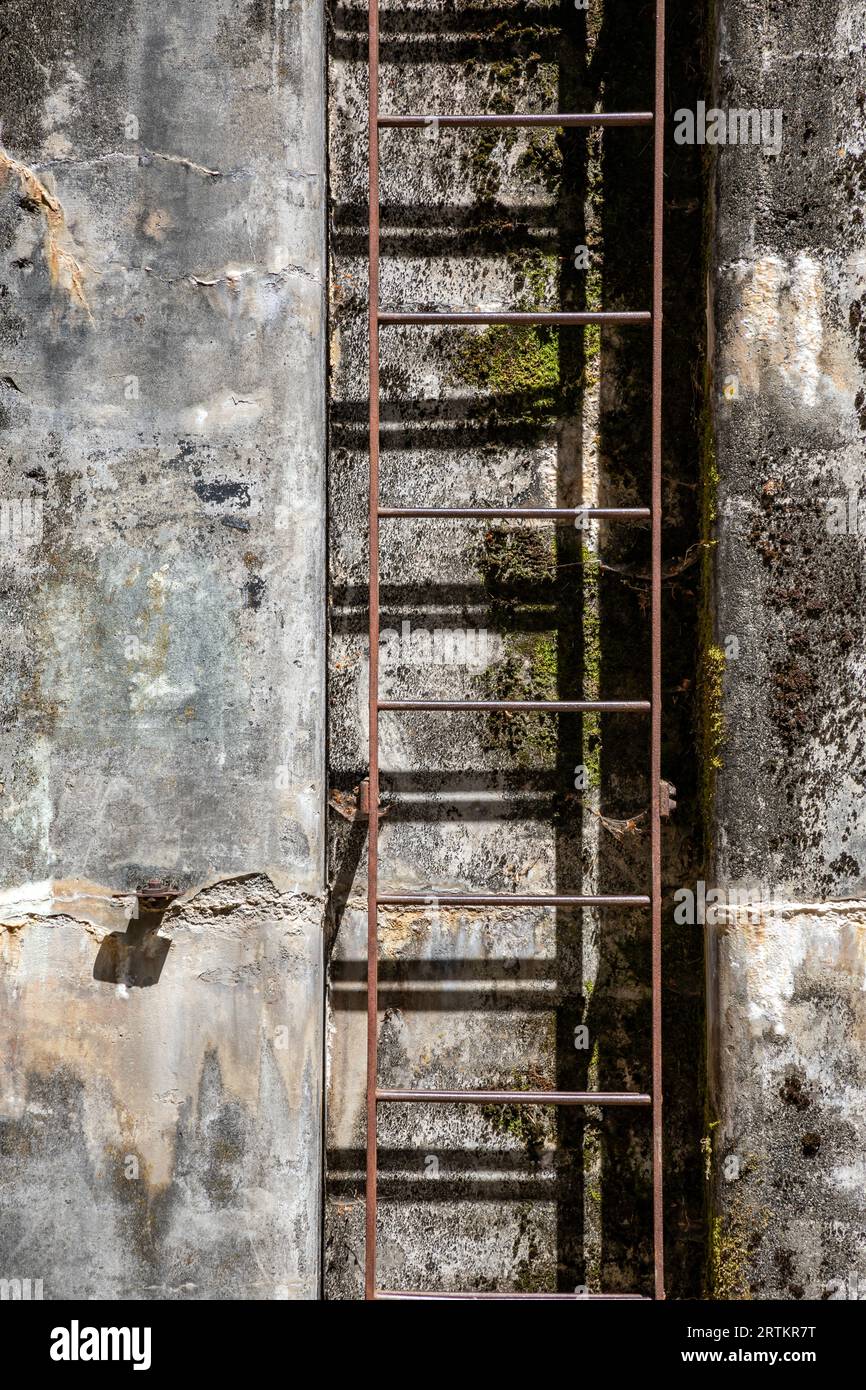 Active 1903 to 1953 hi-res stock photography and images - Alamy