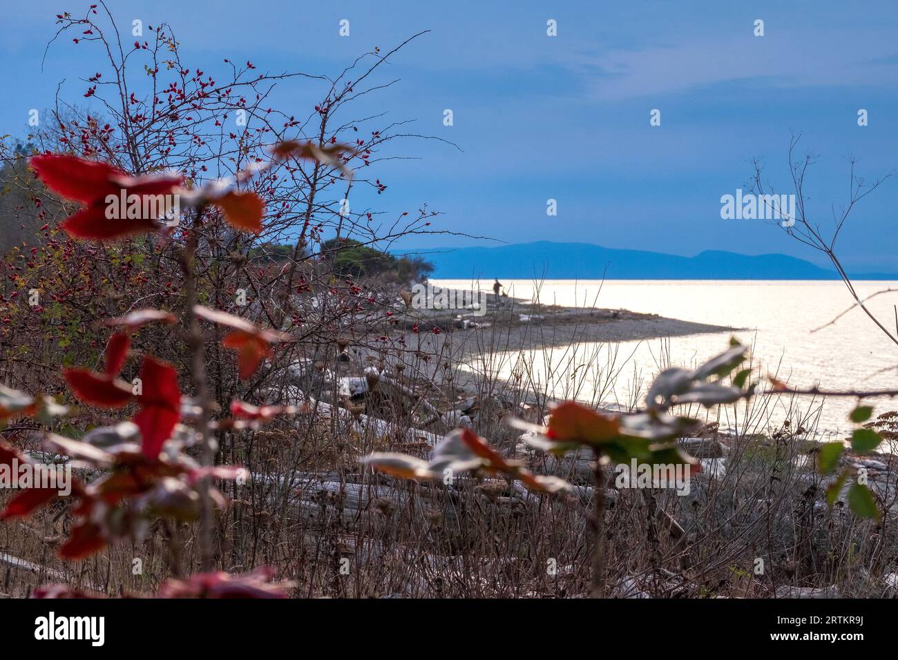 Semiahmoo bay hi-res stock photography and images - Alamy