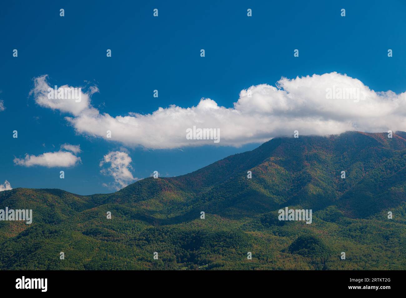 Cammerer hi-res stock photography and images - Alamy