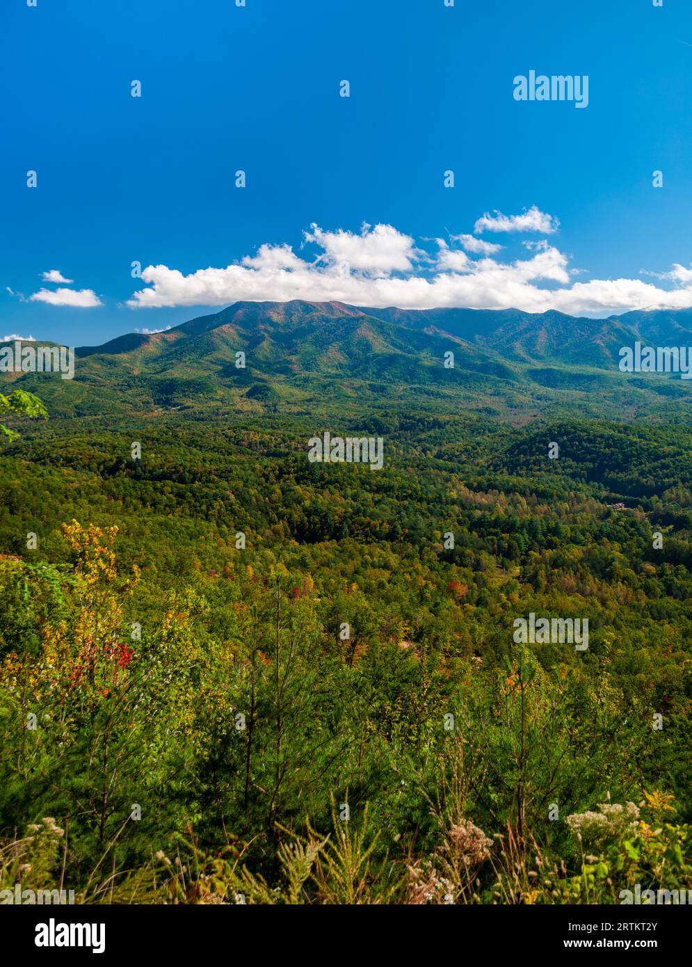 Mt Cammerer from the Foothills Parkway in Tennessee Stock Photo - Alamy