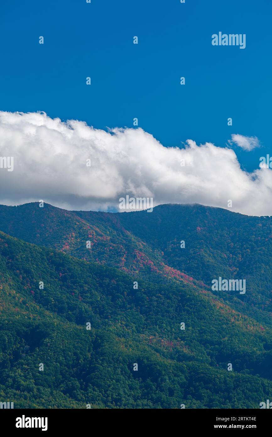 Cammerer hi-res stock photography and images - Alamy