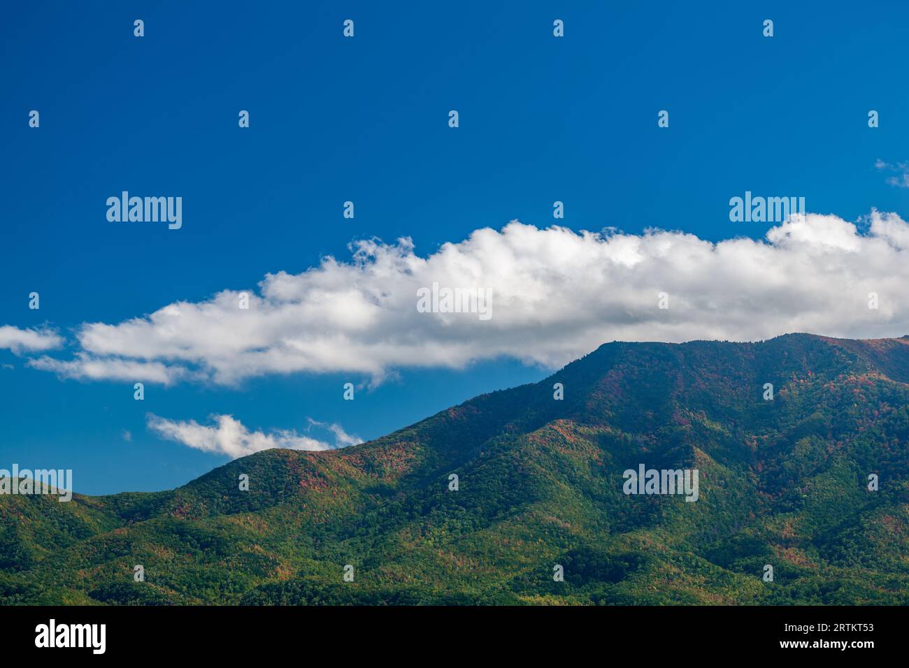Cammerer hi-res stock photography and images - Alamy