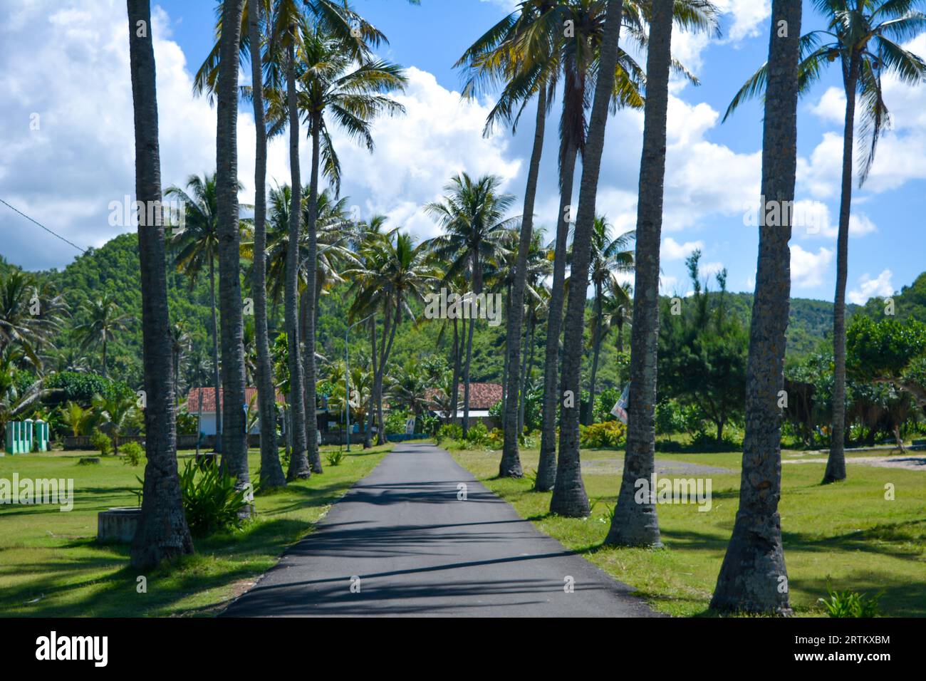 Pacitan surf hi-res stock photography and images - Alamy