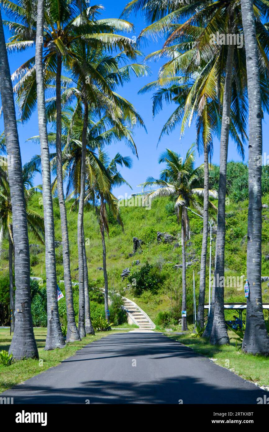 The beautiful view of Srau beach in Pacitan Indonesia with the beach ...