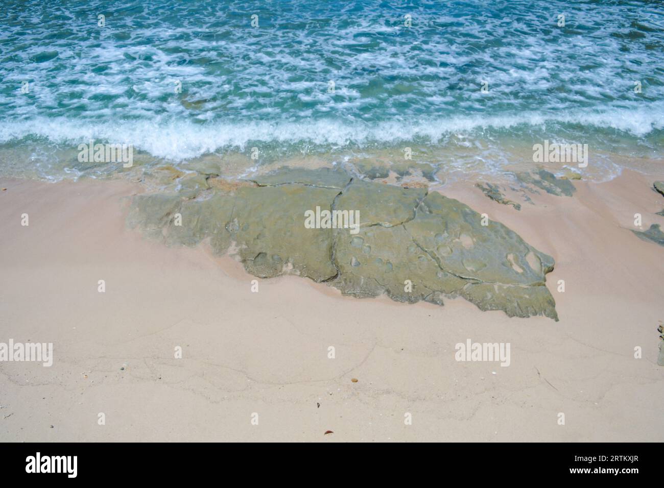 The view of coral on the beach of Srau, Pacitan, Indonesia, beautifies ...