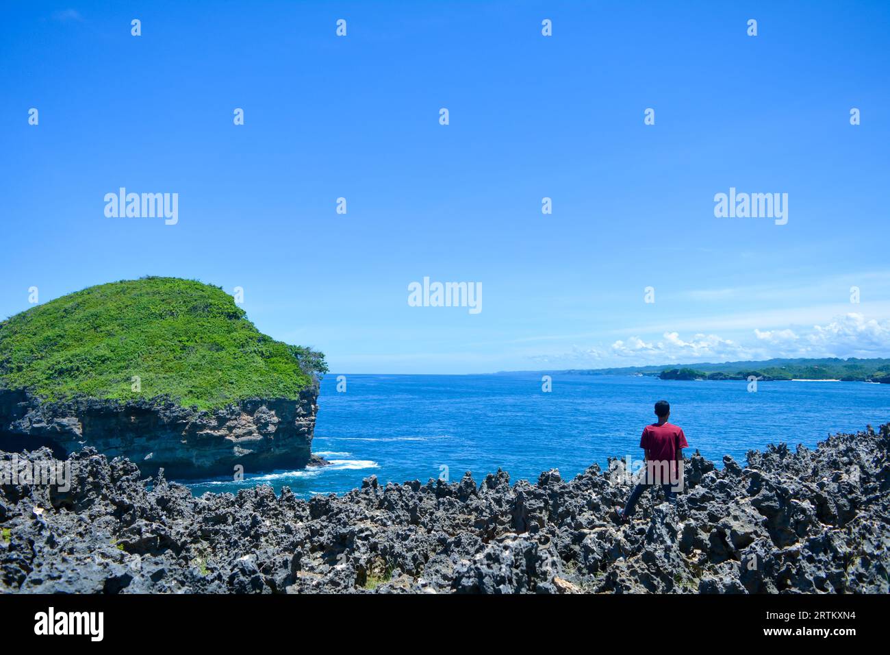 The view of coral on the beach of Srau, Pacitan, Indonesia, beautifies ...