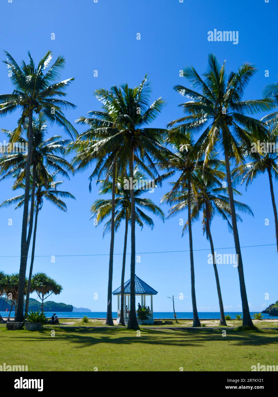 The beautiful view of Srau beach in Pacitan Indonesia with the beach ...