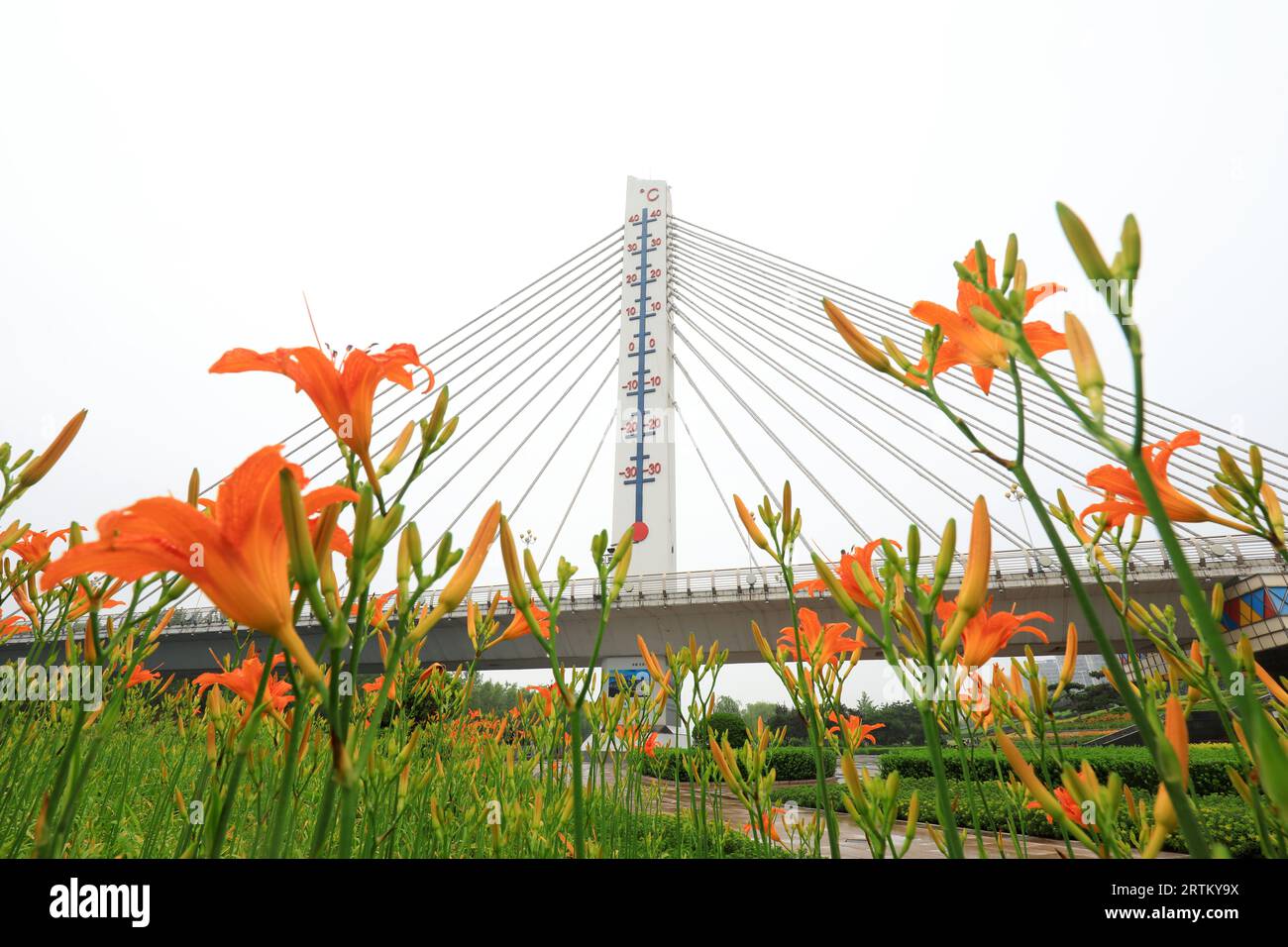 Thermometer shaped cable-stayed bridge, North China Stock Photo - Alamy