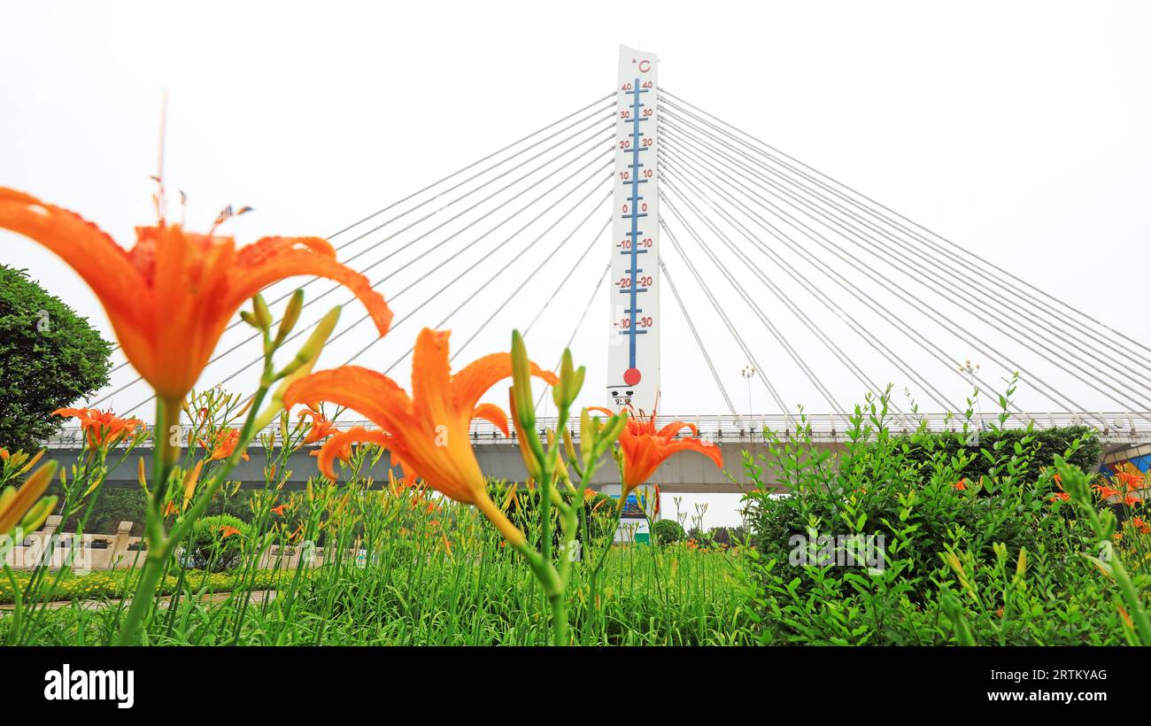 Thermometer shaped cable-stayed bridge, North China Stock Photo - Alamy