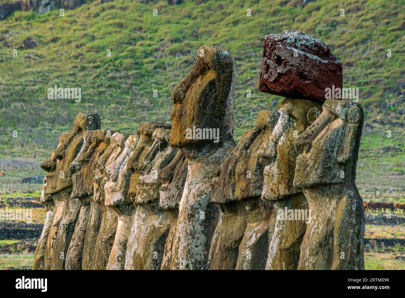 The ancient moai on Easter Island in Chile Stock Photo - Alamy
