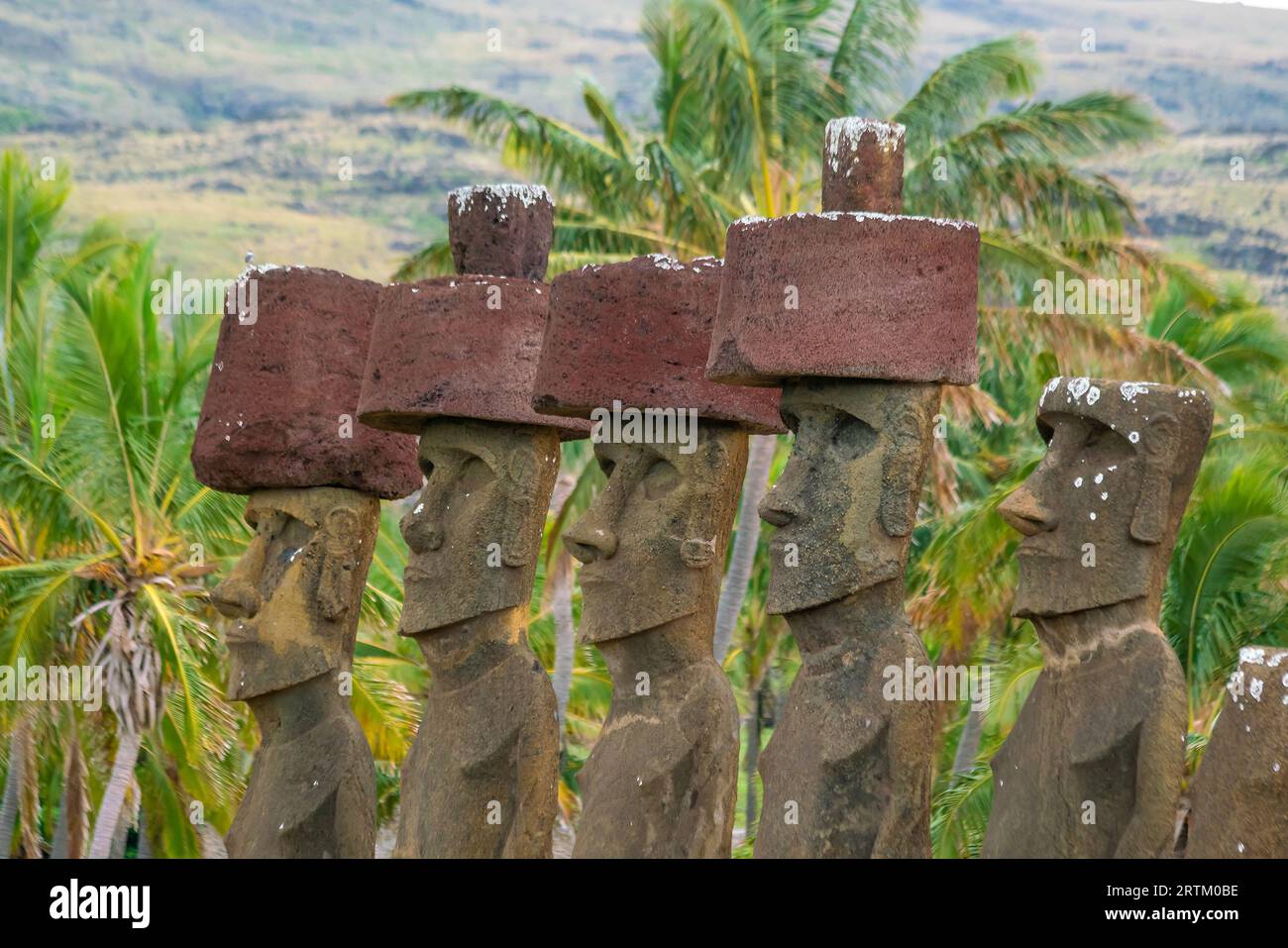 The ancient moai on Easter Island in Chile Stock Photo - Alamy