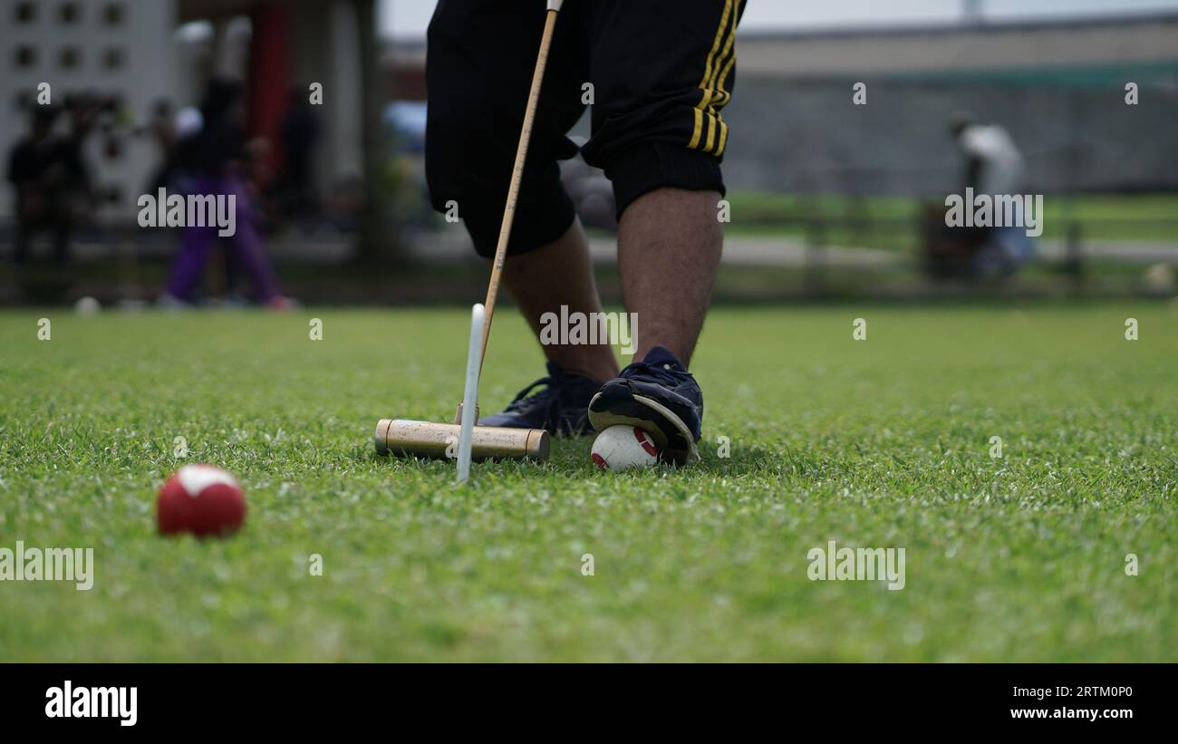 The gateball player's feet and their tools on the grass field Stock ...