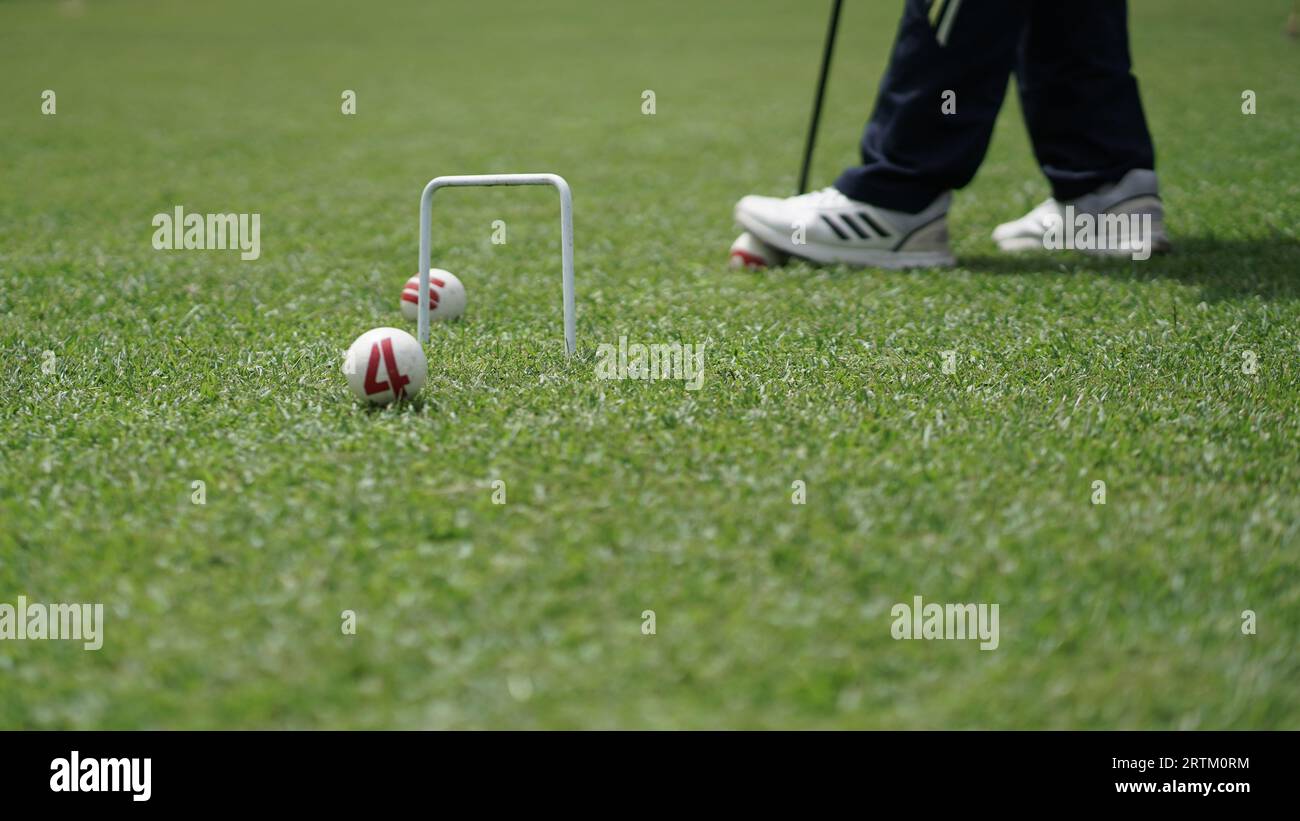 Gateball is a mallet team sport inspired by croquet. It is a fast-paced ...