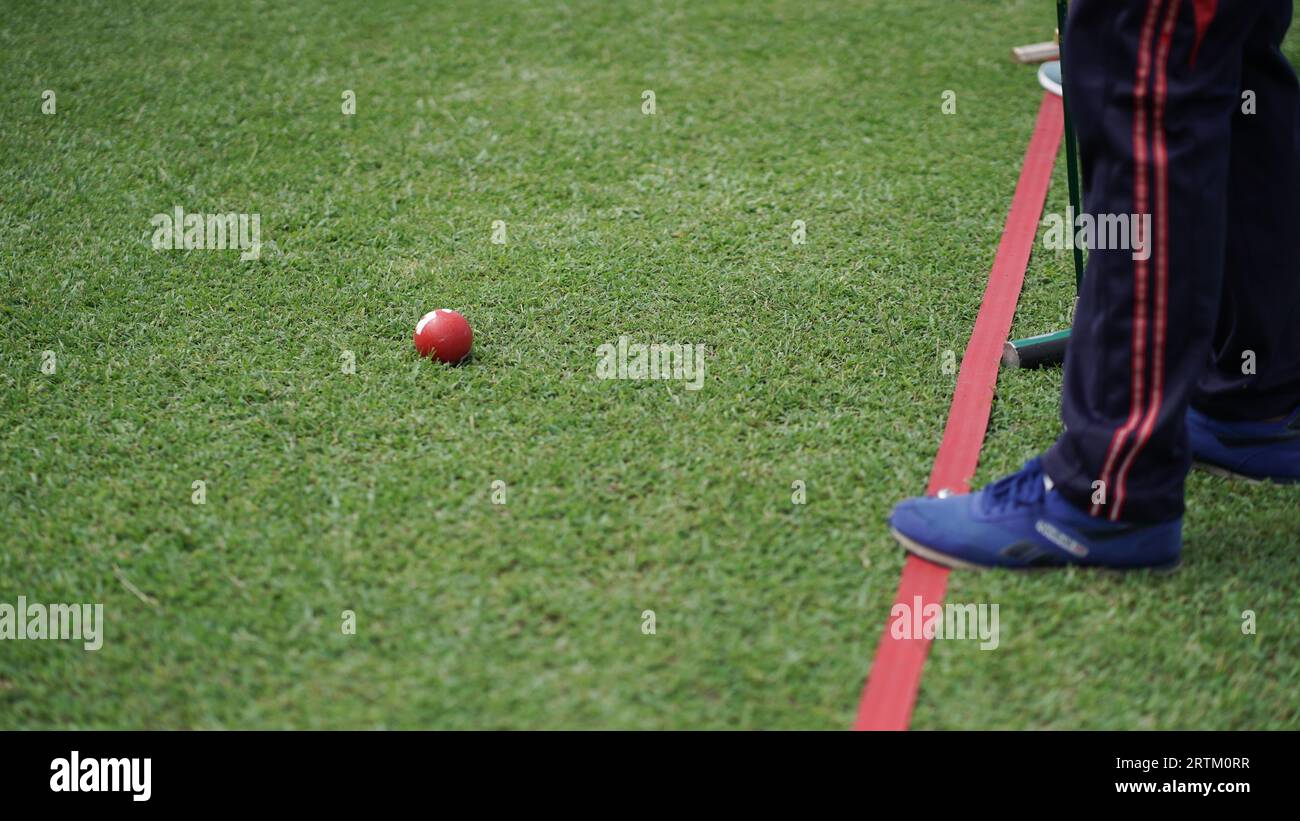 The gateball player's feet and their tools on the grass field Stock ...