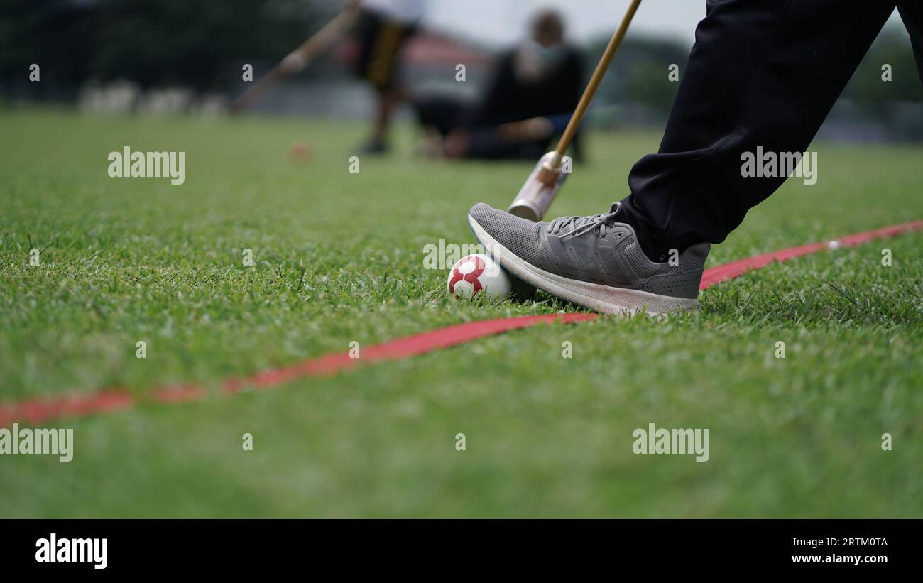 The gateball player's feet and their tools on the grass field Stock ...