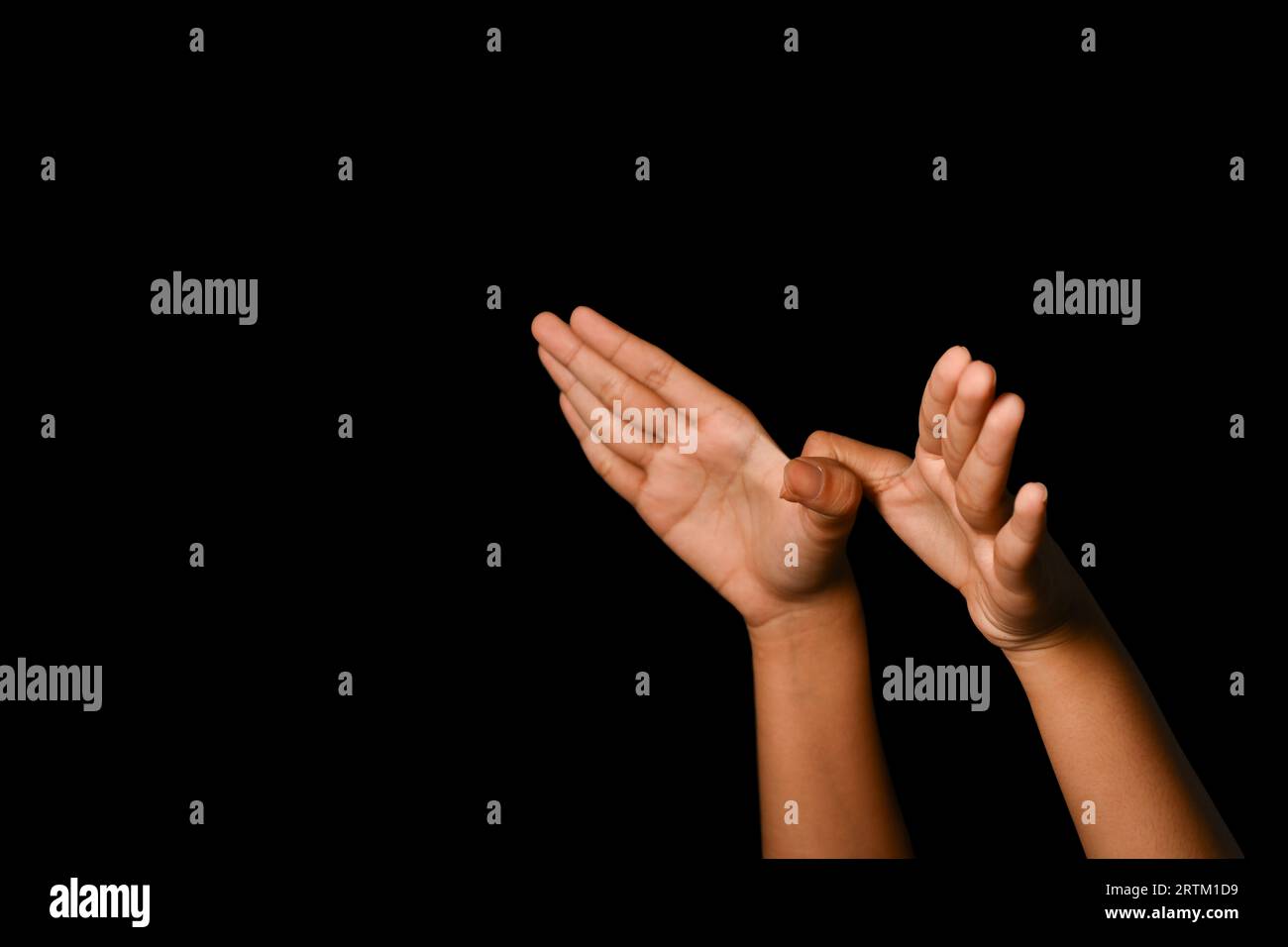Dove human hands peace symbol hi-res stock photography and images - Alamy
