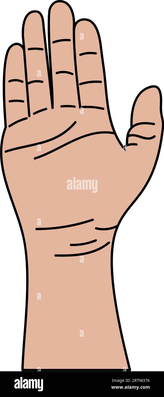 Illustration of human hands, signs and gestures isolated vector on a ...