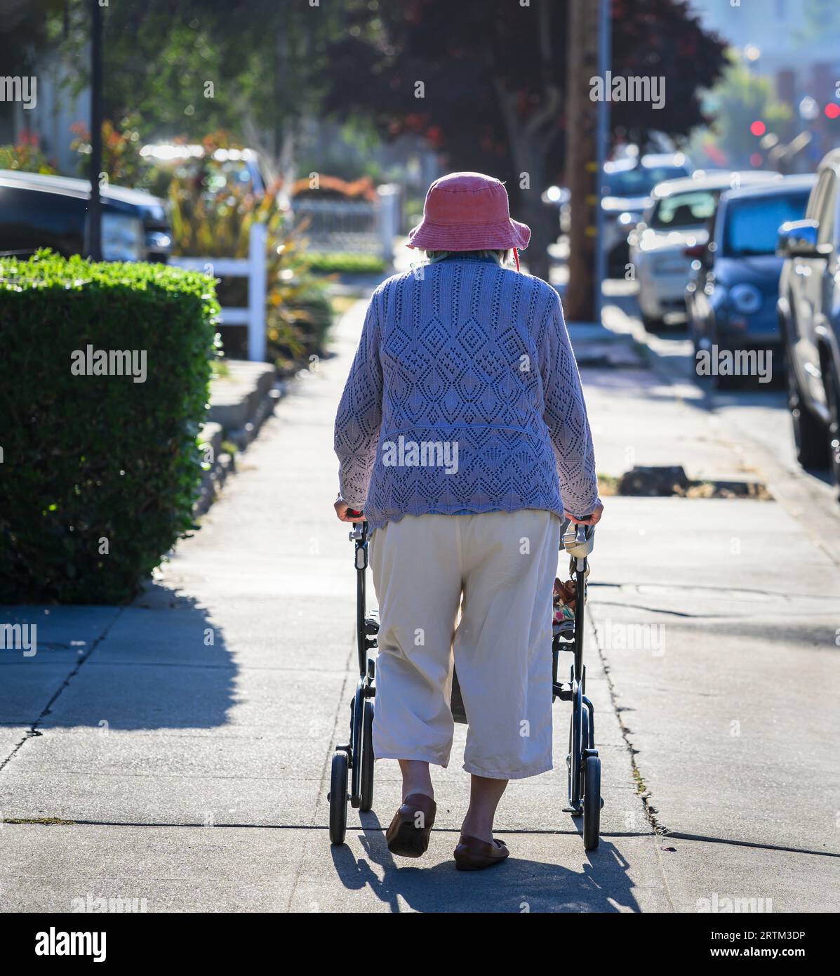 Senior woman walking alone using a mobility walker on the pedestrian ...