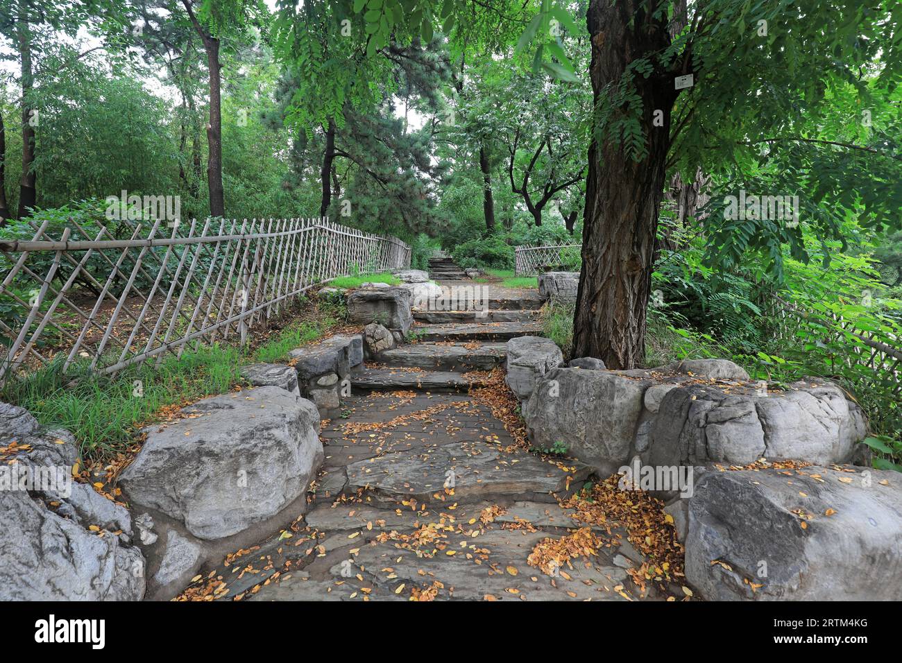 The quiet environment is in the park Stock Photo - Alamy